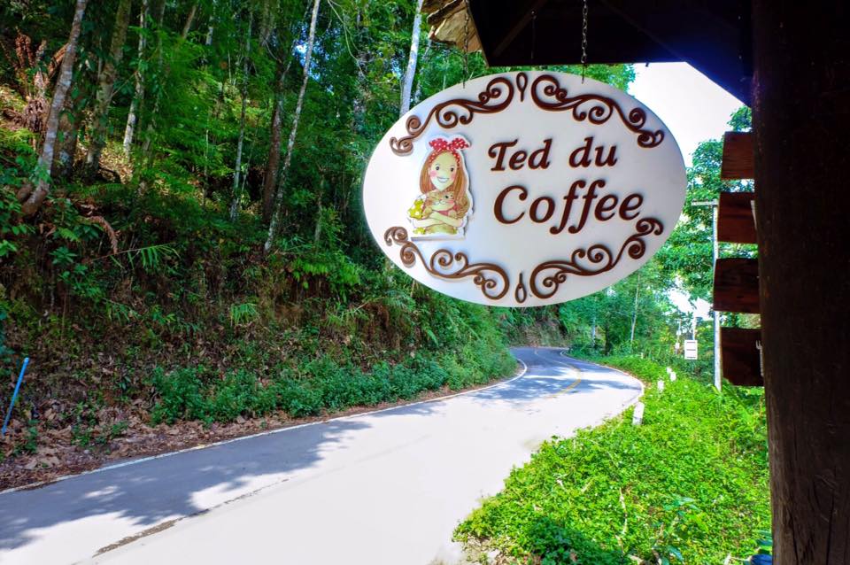 Teddu Coffee ความชิลได้ที่กับกาแฟหอมๆ @ บ้านแม่กำปอง เชียงใหม่ ...